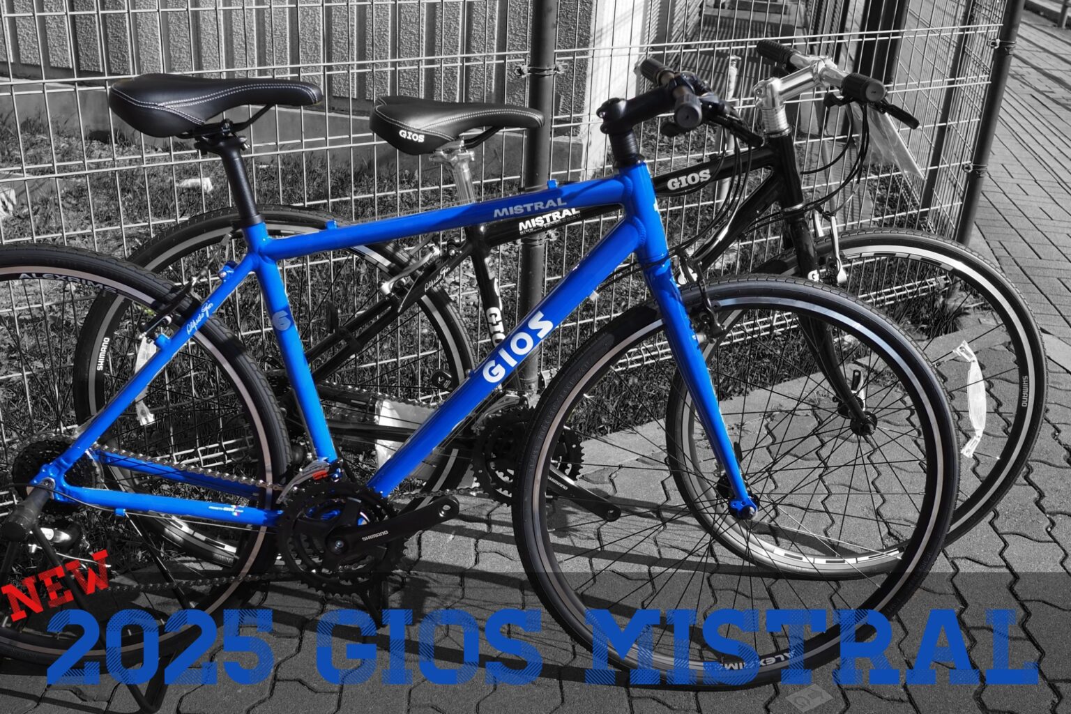 初回分最速入荷！『2025 GIOS MISTRAL』 店舗ブログ | 自転車専門店 サイクルスポット/ル・サイク